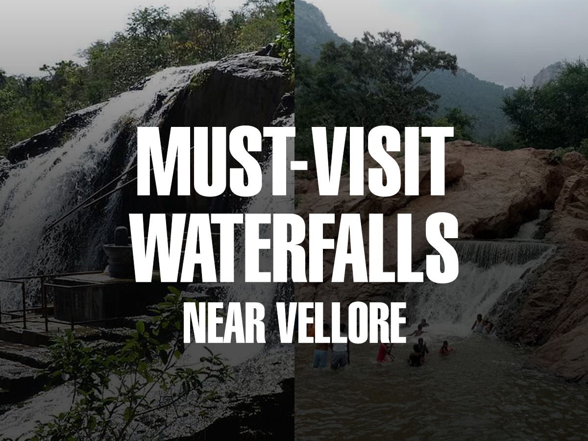 Must-Visit Waterfalls Near Vellore to Chill Out This Summer