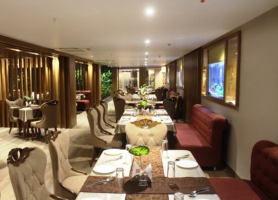 Best Restaurants to Eat in Vellore: A Food Lover’s Guide