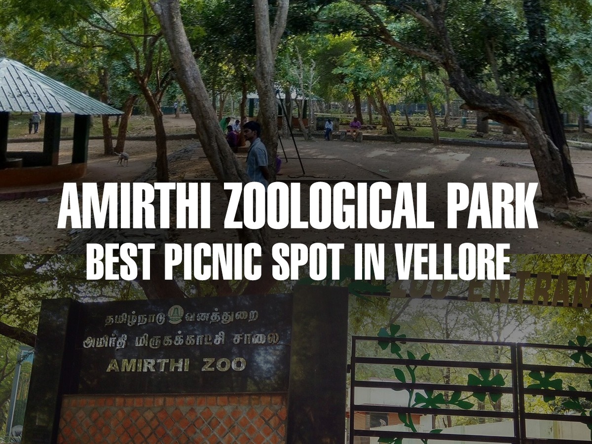 Amirthi Zoological Park: The Best Picnic Spot in Vellore